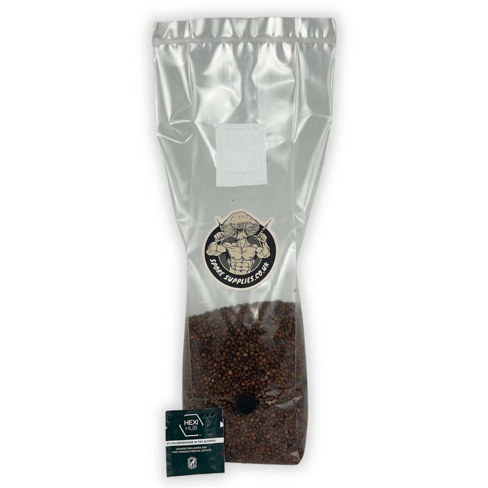 Sterile Milo Grain Bag – Spore Supplies