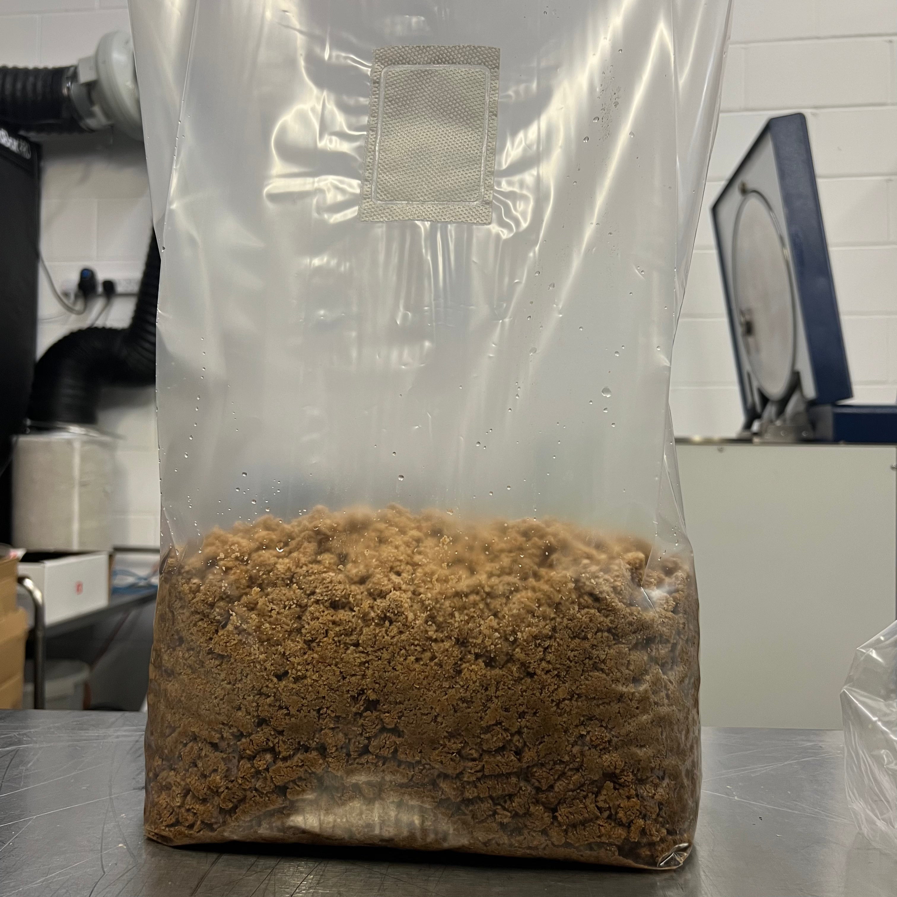 Masters Mix – 4kg Sterilised Mushroom Substrate | HWFP & Soy Hull ...