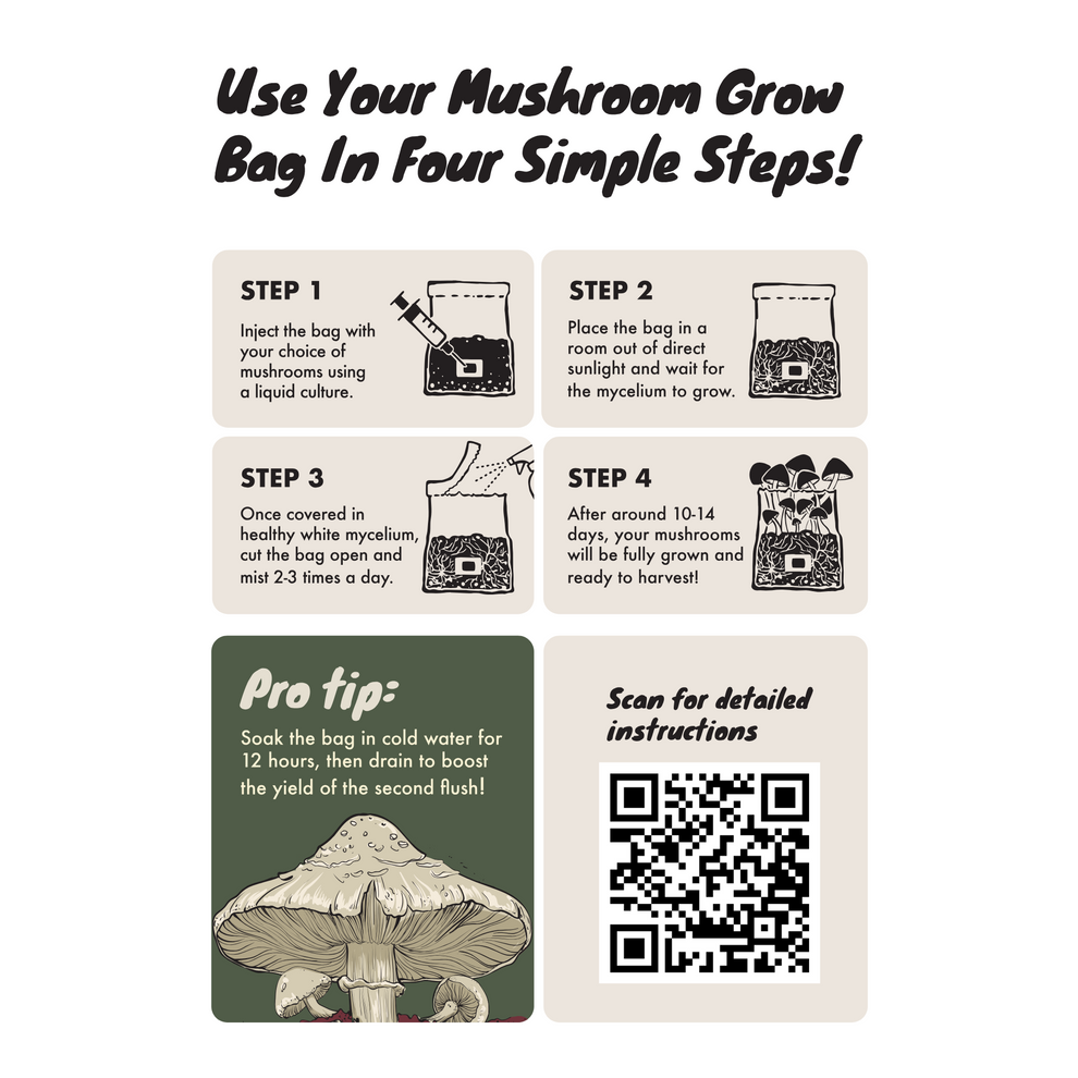 3Kg Magic Myc® All In One Mushroom Grow Bag – Inject & Forget – Spore ...